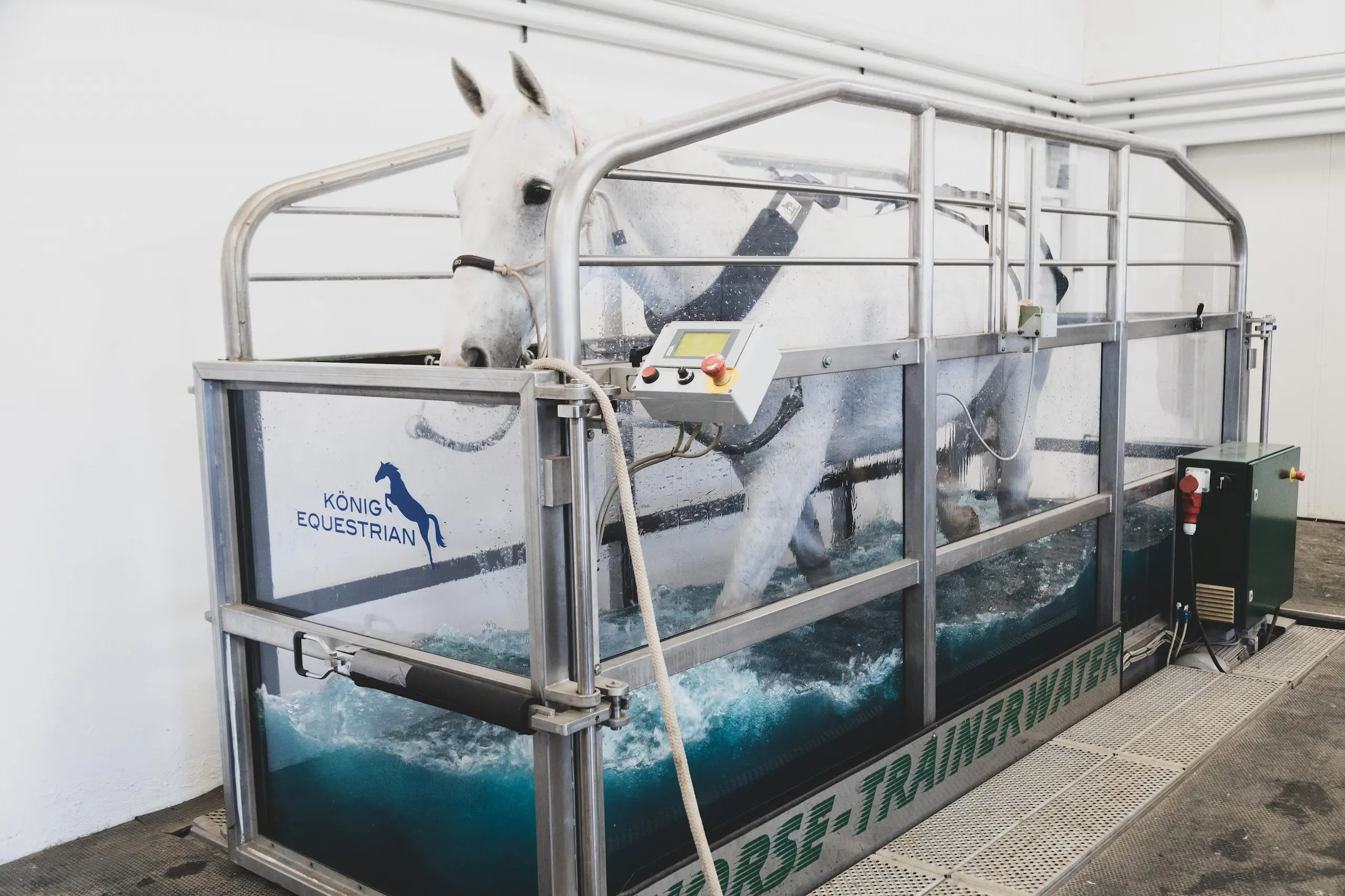 Vandbånd til genoptræning af din hest I König Equestrian i Værløse